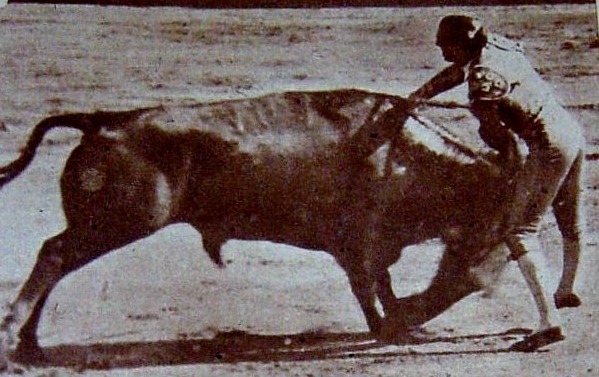 ¿ DE QUÉ MURIÓ MANOLETE ? ... - LA HUIDA DEL MUNDANAL RUIDO . - Gabitos